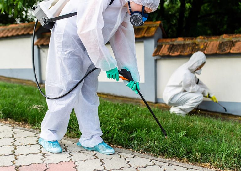 Residential Pest Prevention - Esparza Pest Control